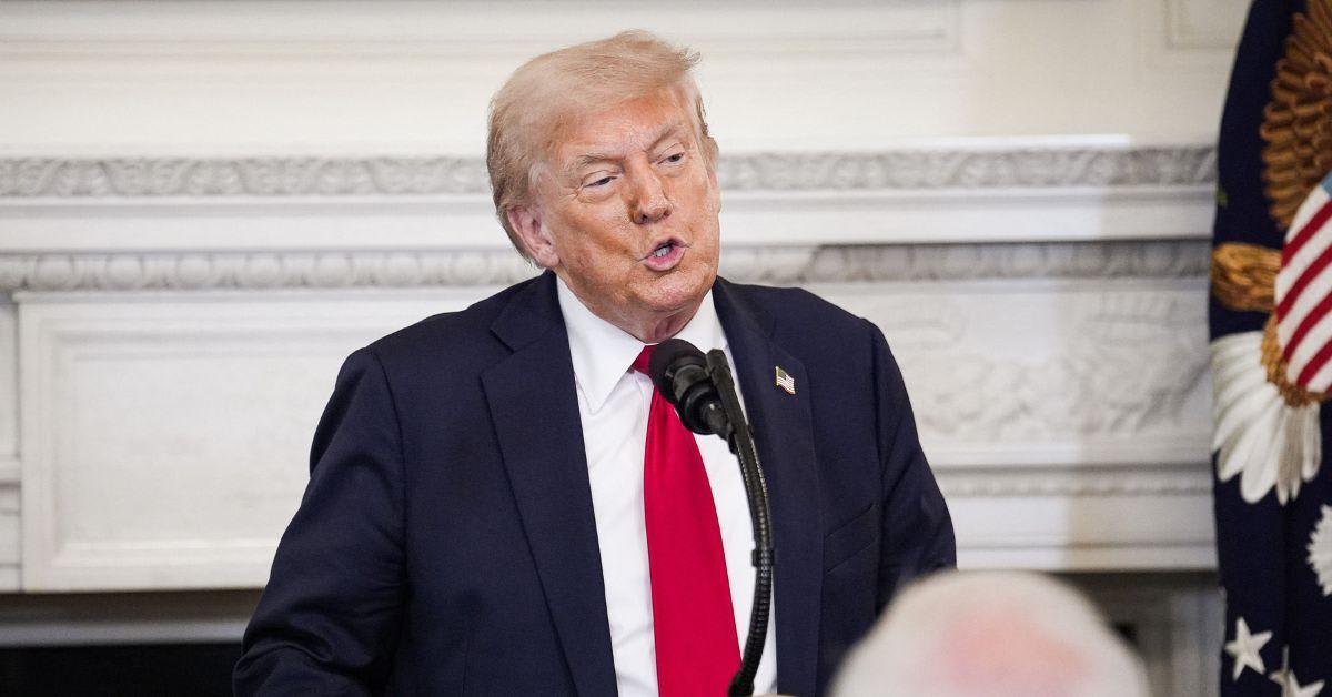 Donald Trump Slams Elon Musk's New Political Party as 'Ridiculous ...