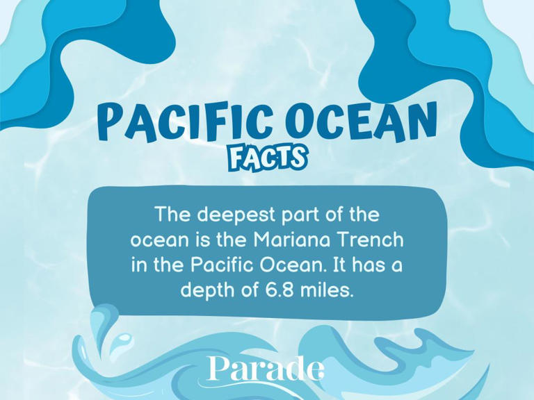 60 Interesting Ocean Facts That'll Either Terrify You or Amaze You
