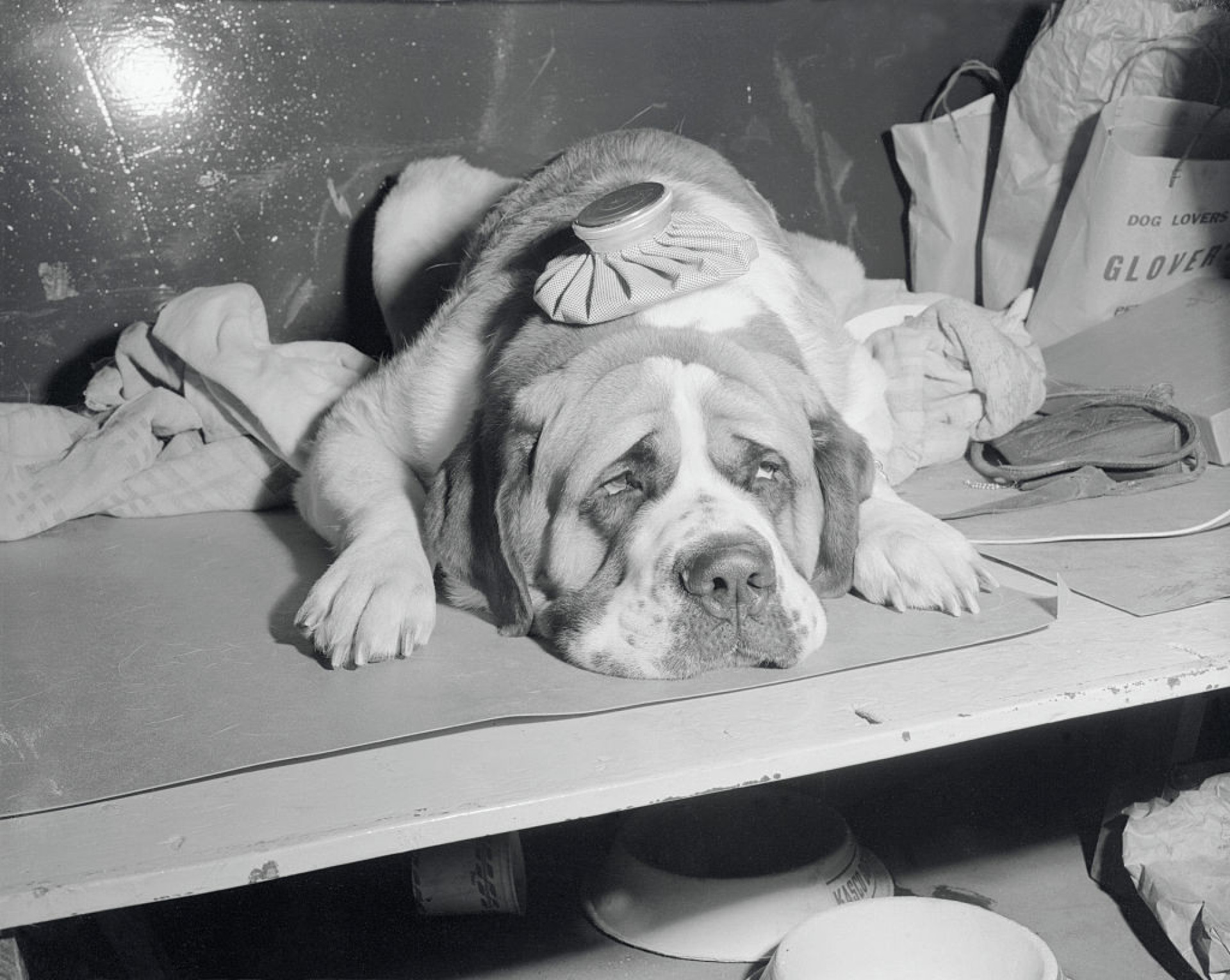 Expert tips on avoiding hangovers