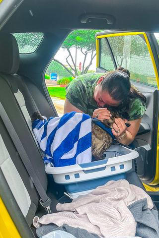 Dog, Who Went Missing 8 Years Ago During Hurricane Harvey, Found 300 ...