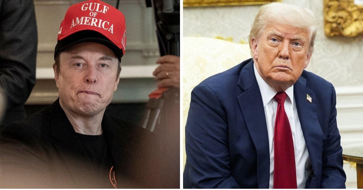Donald Trump Slams Elon Musk's New Political Party as 'Ridiculous ...