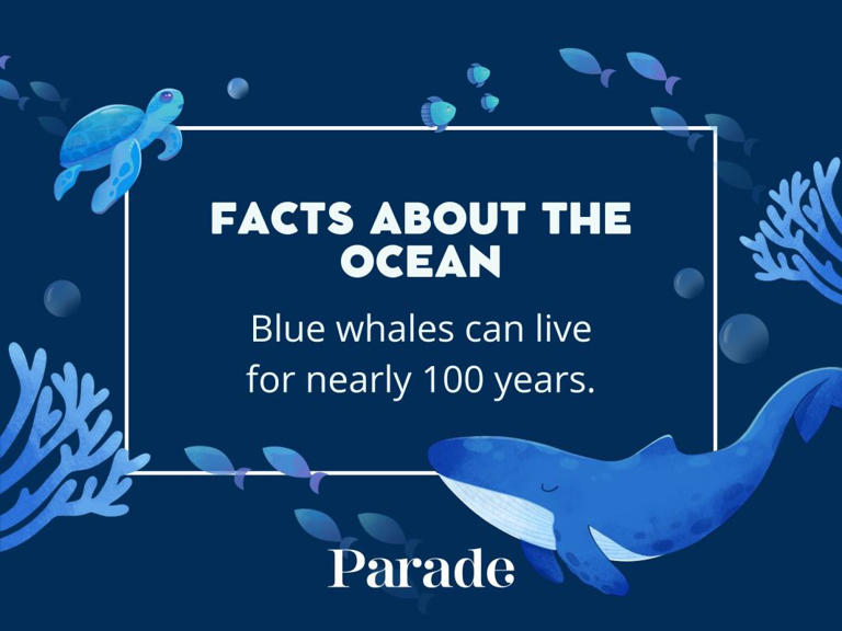 60 Interesting Ocean Facts That'll Either Terrify You or Amaze You