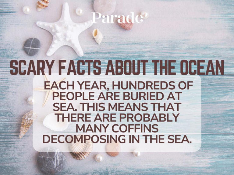 60 Interesting Ocean Facts That'll Either Terrify You or Amaze You