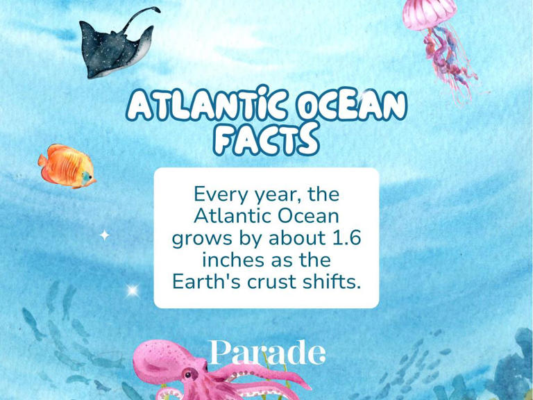 60 Interesting Ocean Facts That'll Either Terrify You or Amaze You