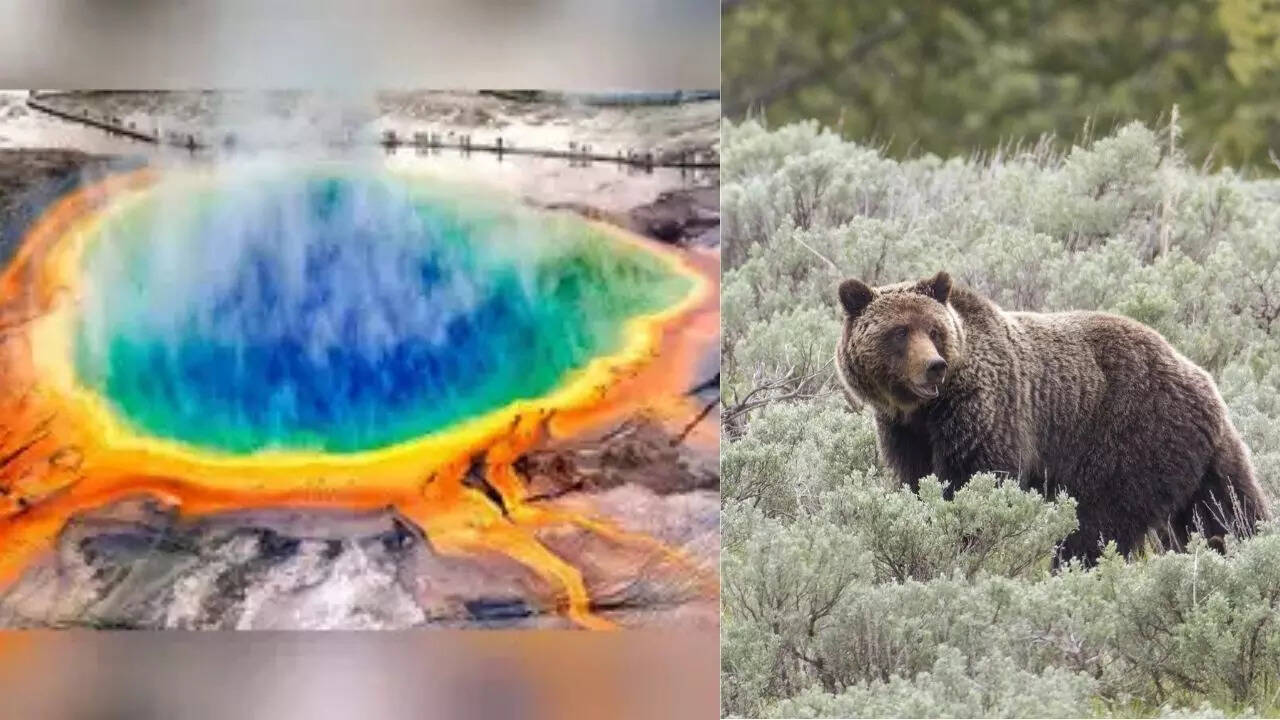 Is Yellowstone’s supervolcano about to erupt? Truth and rumours behind ...