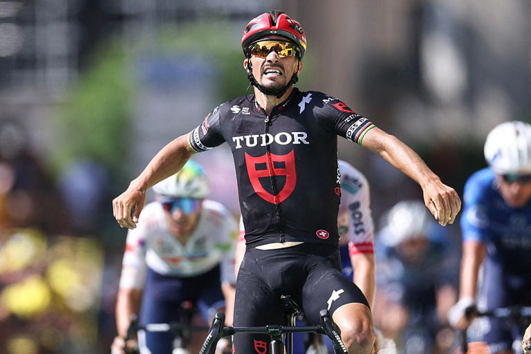 Different Types of Shots in Cricket : Detailed Analysis