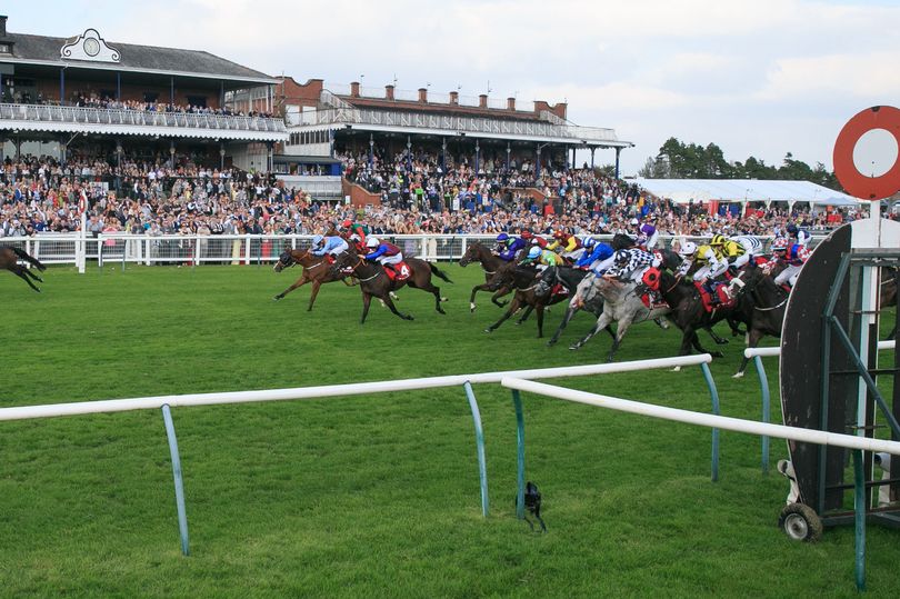 Trainer's winning spree to continue at Ayr – Jason Heavey's Monday ...