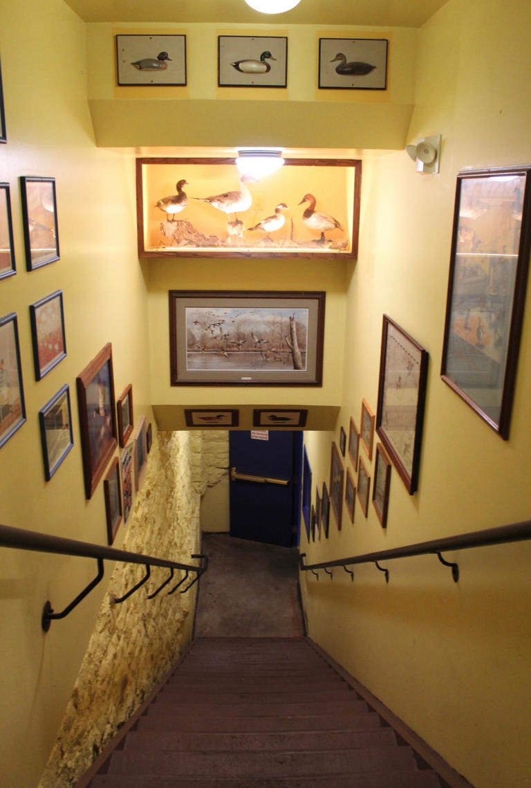 Roaming St. Louis: The Duck Room gets a makeover