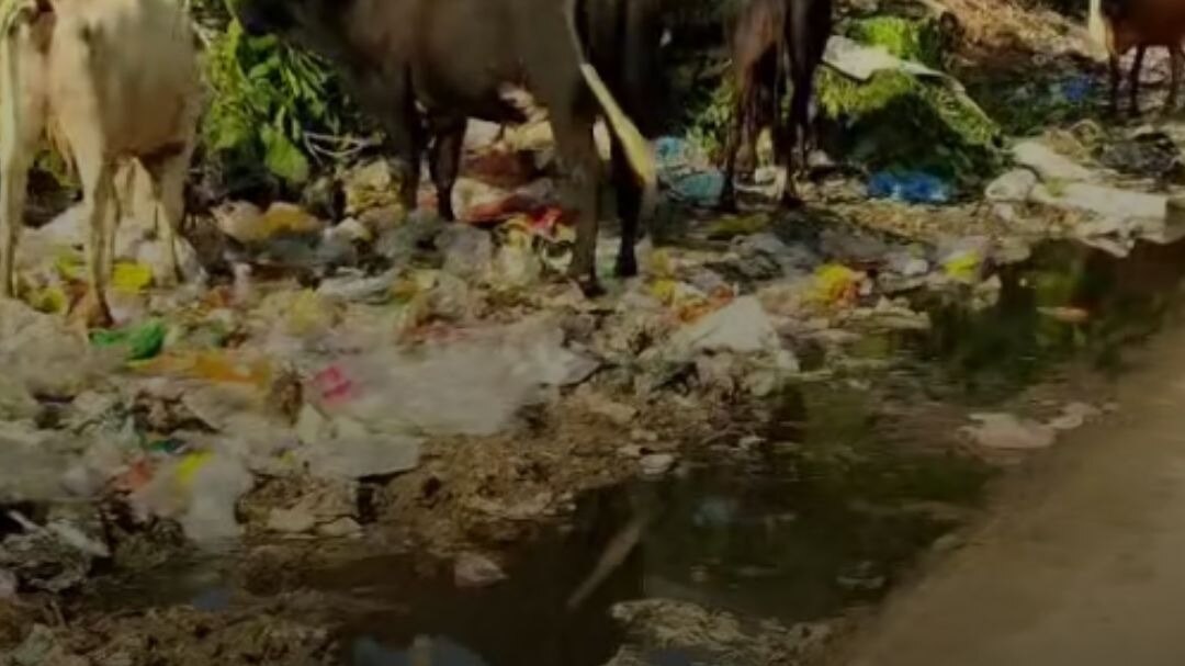 Retd. Maj. Gen. Yash Mor Slams Gurugram's Sanitation With Biting Sarcasm