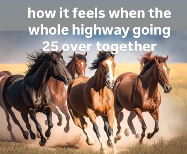 A Tender Treat of 22 Domesticated Animal Memes for People Who Wish ...