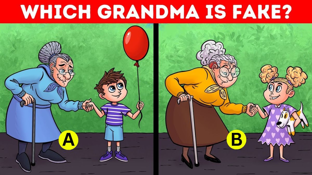 Which Grandma Is Fake? Only 1% With Observational Prowess Solve This ...