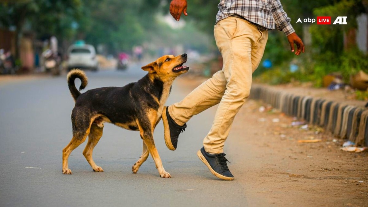 Stray Dog Attacks: Karnataka Reports 36% Surge In Dog Bites, 19 Deaths ...