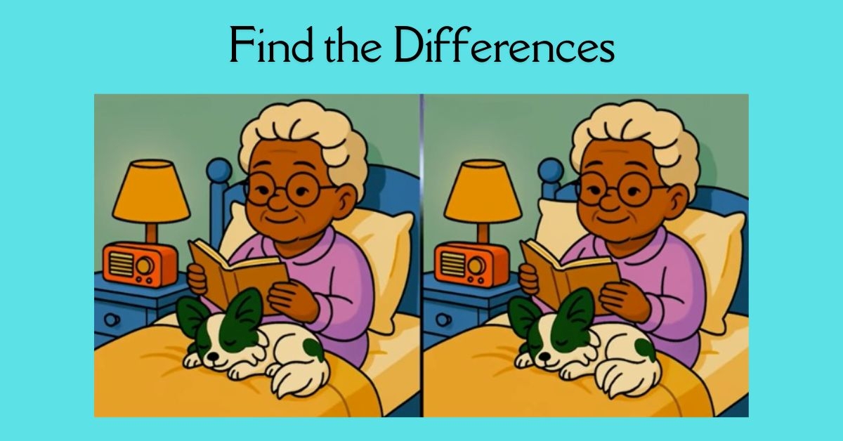 Spot the 3 Differences in Old Lady Reading A Book Beat the 27-Second ...