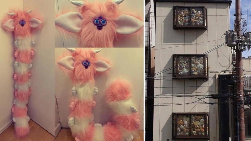 Some Of The Most Confusing Images Found Online