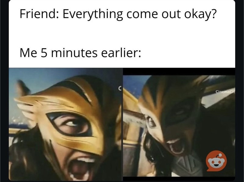 A Bunch of Memes That Don't Beat Around the Bush