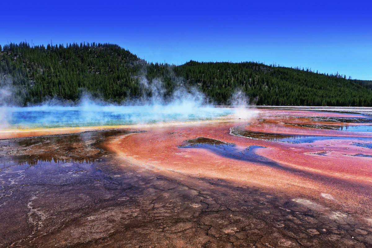 How Yellowstone Became the World’s First National Park: 10 Fascinating ...