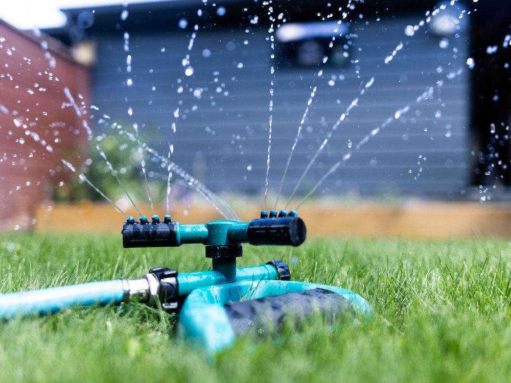 The Bookless Club: Are you a good water steward?