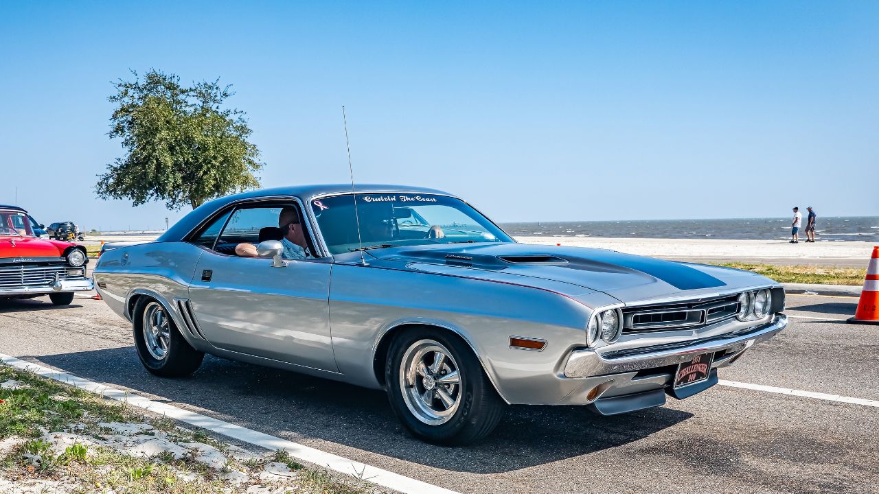 Garden features that could decrease the value of your home – property experts highlight 5 to ...