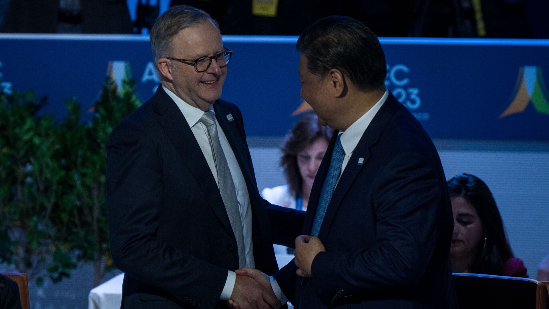 ‘Insipid’: Albanese torched for ‘tiptoeing’ around difficult ...