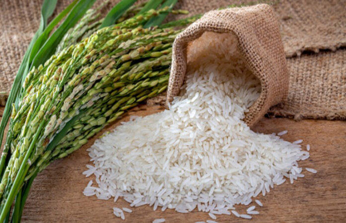 Pakistan's food exports decline as rice and fruits shipments drop
