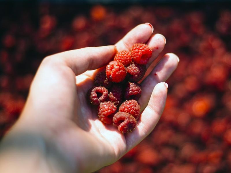 13 Fruits High In Fiber To Help With Weight Management