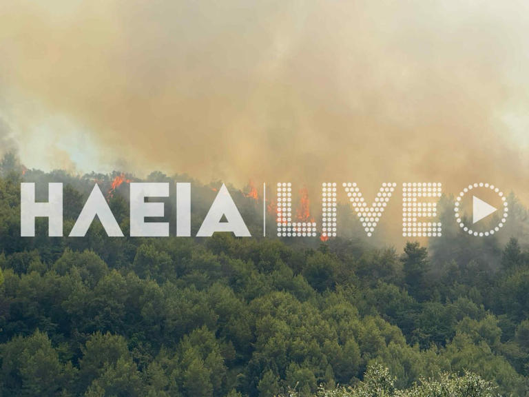Φωτιά στην Αμαλιάδα: Δασική έκταση καίνε οι φλόγες, κατευθύνονται προς ...