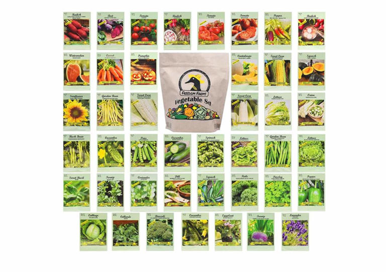 Starting a Veggie Garden? Amazon Has an Assorted Mix of Over 10,000 ...