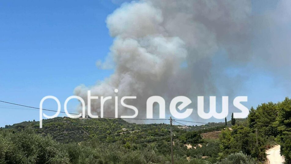 Φωτιά στην Ηλεία – Ηχησε το 112, μεγάλη κινητοποίηση της Πυροσβεστικής