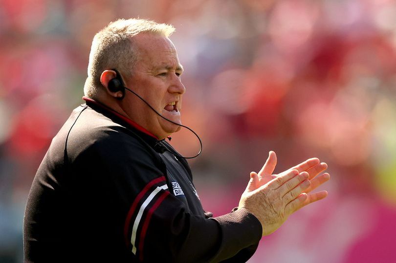 Cork boss Pat Ryan's life away from hurling - from cancer battle to ...