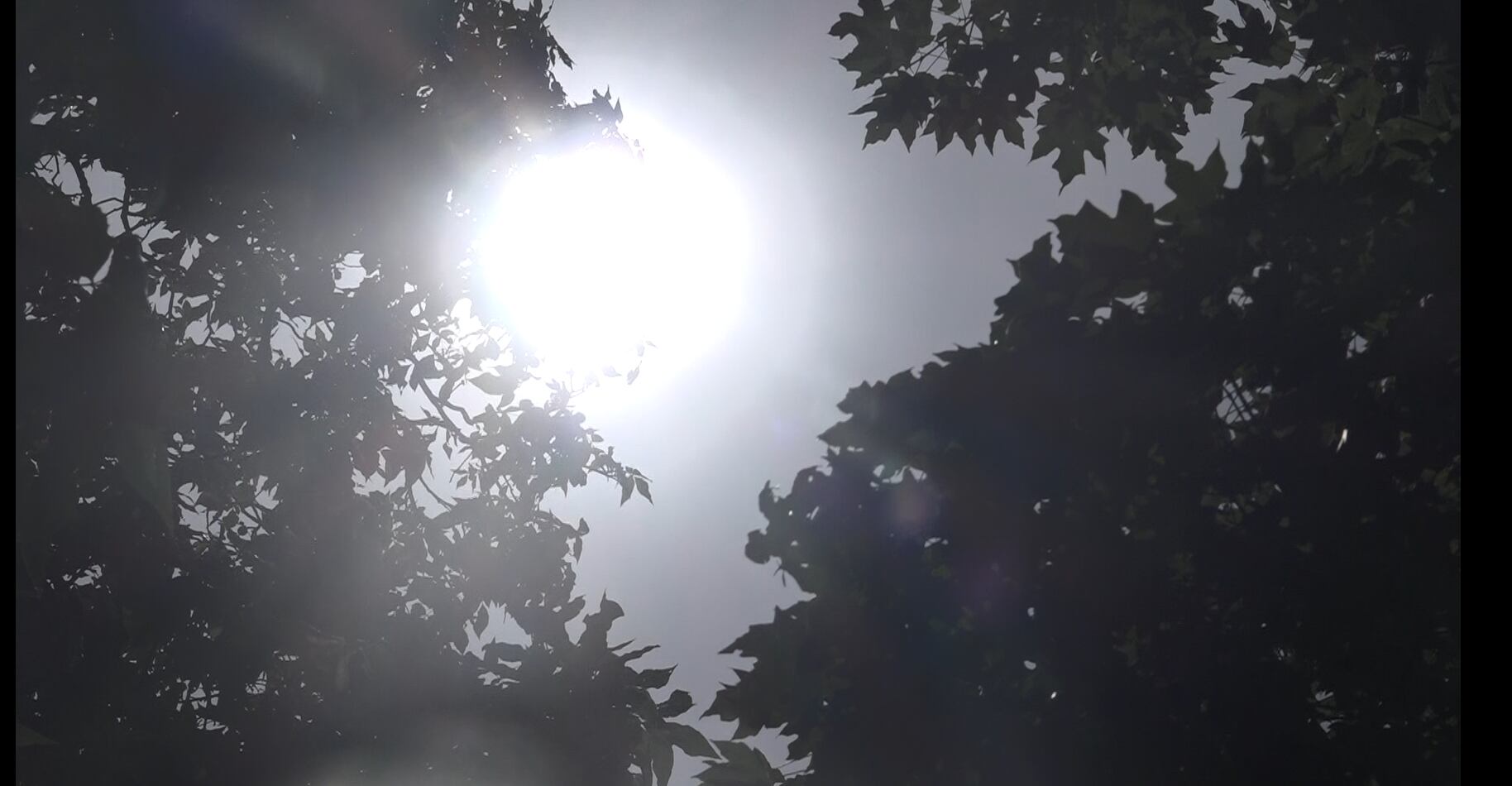 FIRST ALERT WEATHER: Staying healthy during extreme heat advisory