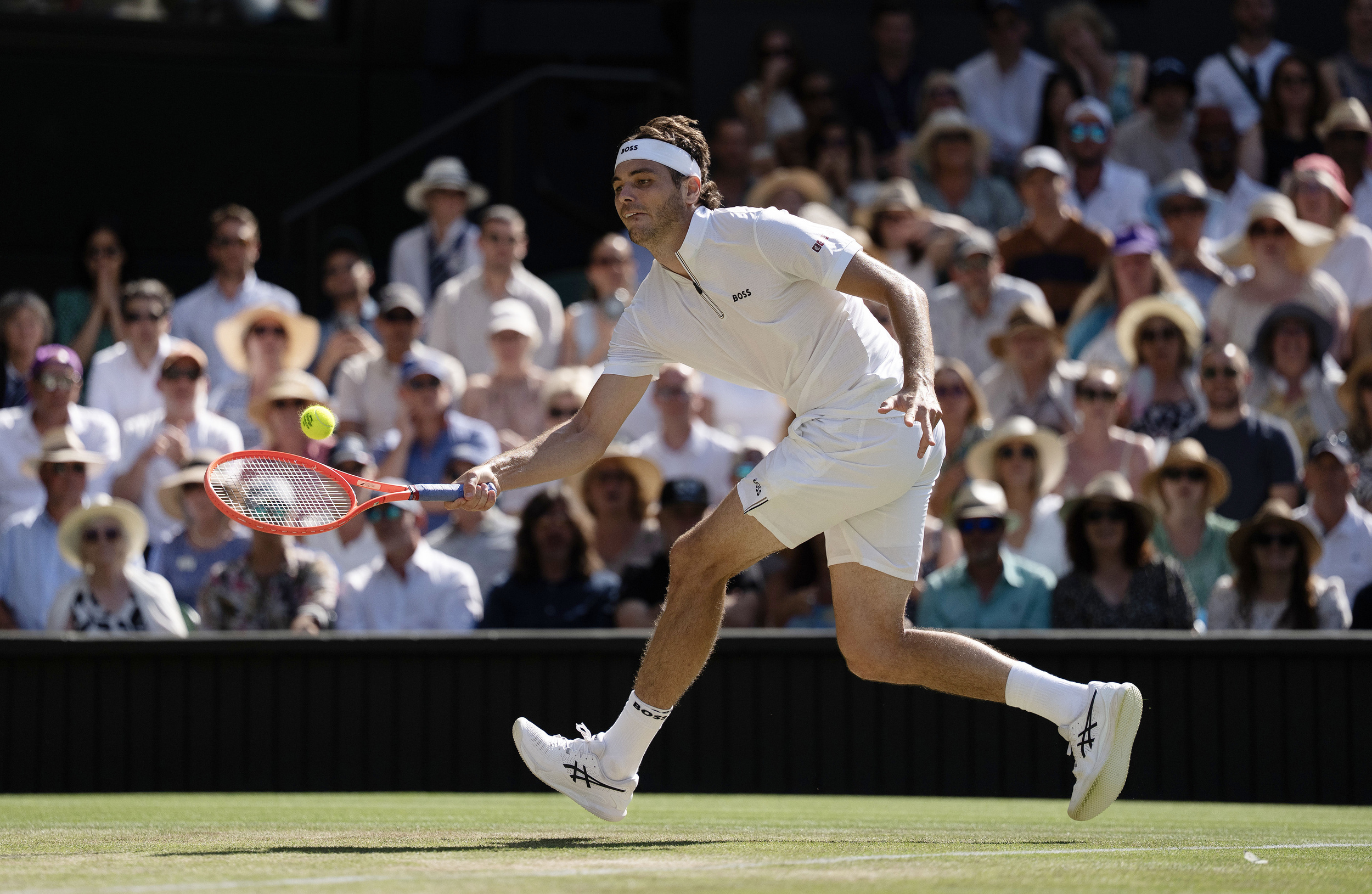 Preview and Schedule ATP DC Open 2025: Taylor Fritz and Ben Shelton ...