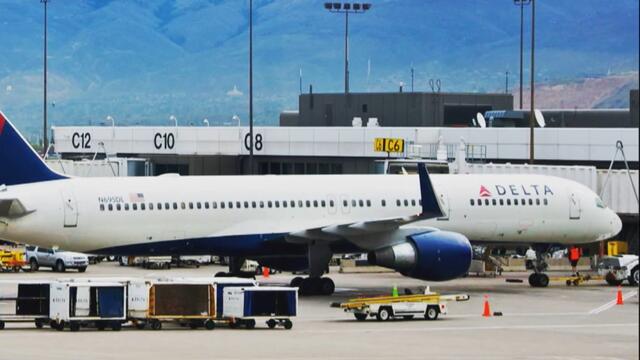 Strange Reasons Planes Were Forced to Land