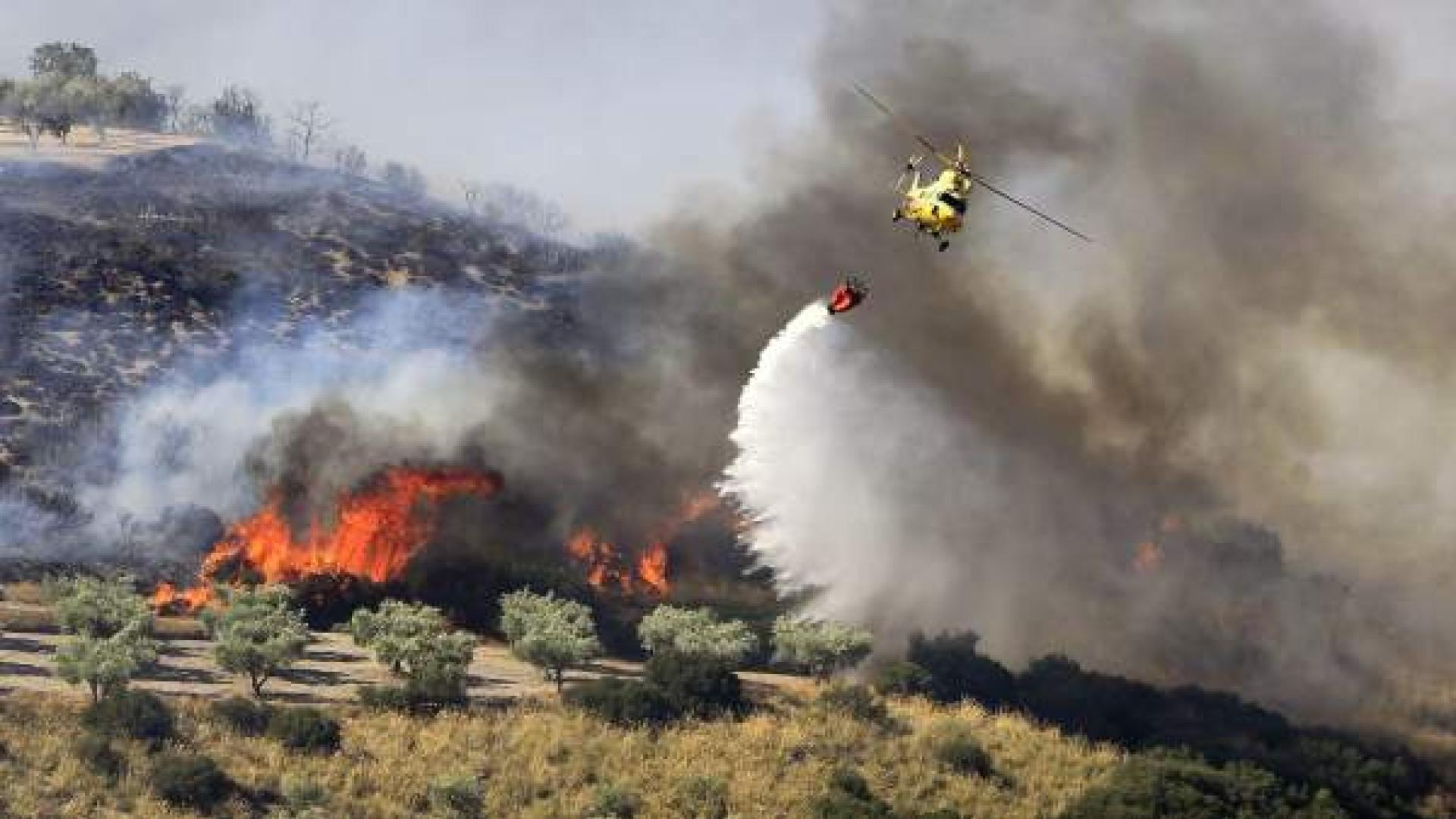 Un sabotaje durante una huelga de forestales inutiliza el operativo ...