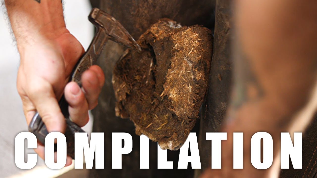 Satisfying Horse Hoof Trimming Compilation | 4K FARRIER ASMR