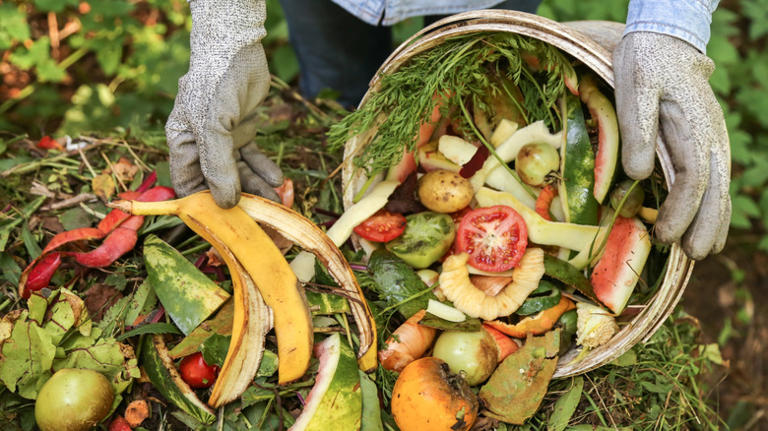 Do You Live In The State That Produces The Most Food Waste?