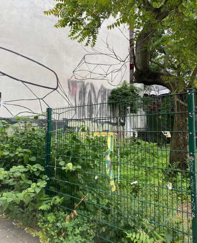 Resident urges action after observing dangerous growth taking over city ...