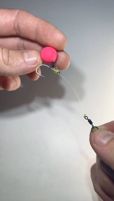 Must-See Carp Fishing Rigs