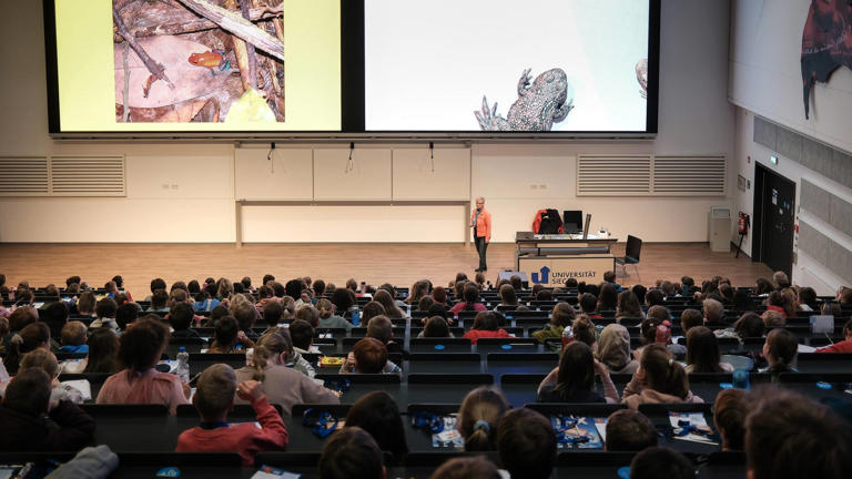 Inclusion of Calgary Stampede in Standings Draws Scrutiny From Rodeo ...