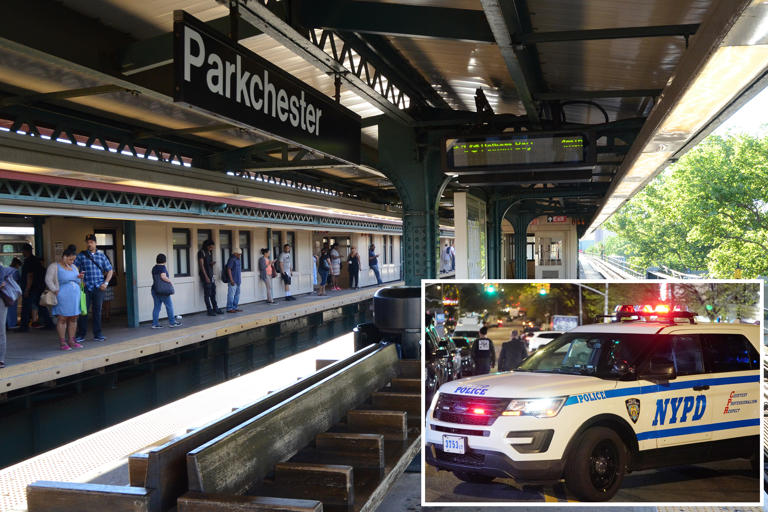 Postal worker allegedly sent threats to NYPD cop after subway pepper ...