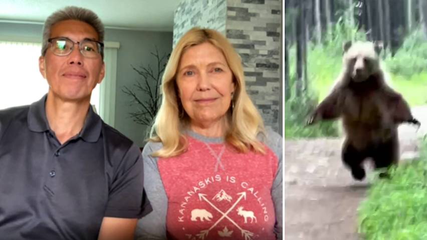 This grizzly followed a Calgary couple along a popular trail until they ...