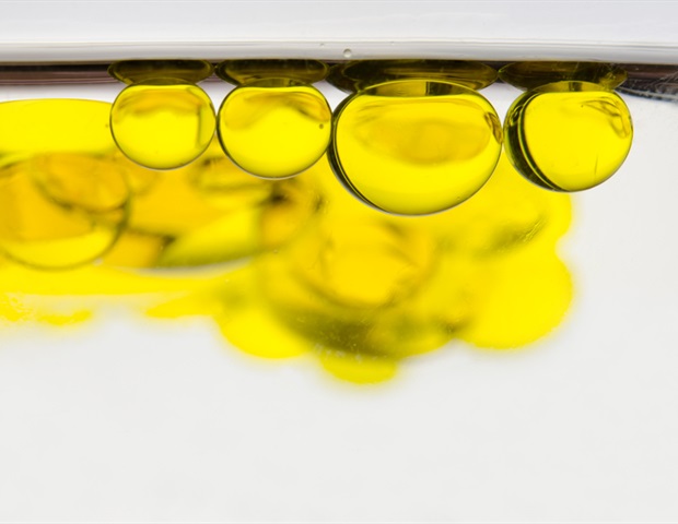 Lipids Play a Regulatory Role in LC3-Associated Phagocytosis