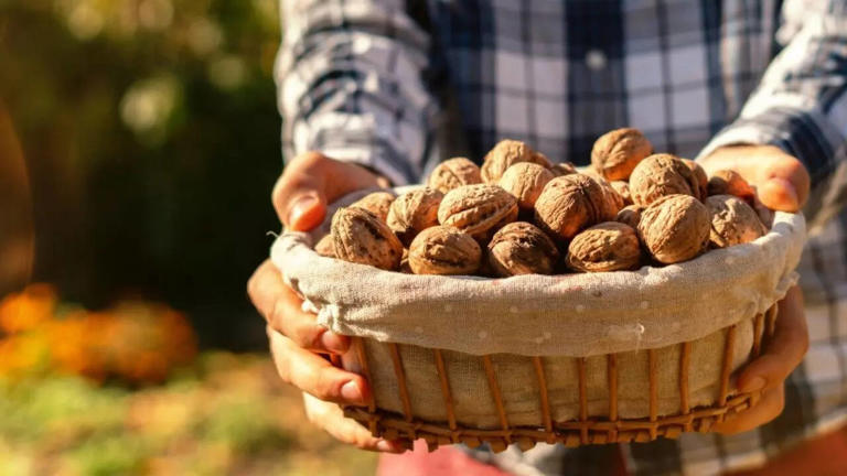 Colon Cancer: US Gastroenterologist shares 6 snack ideas that can ...