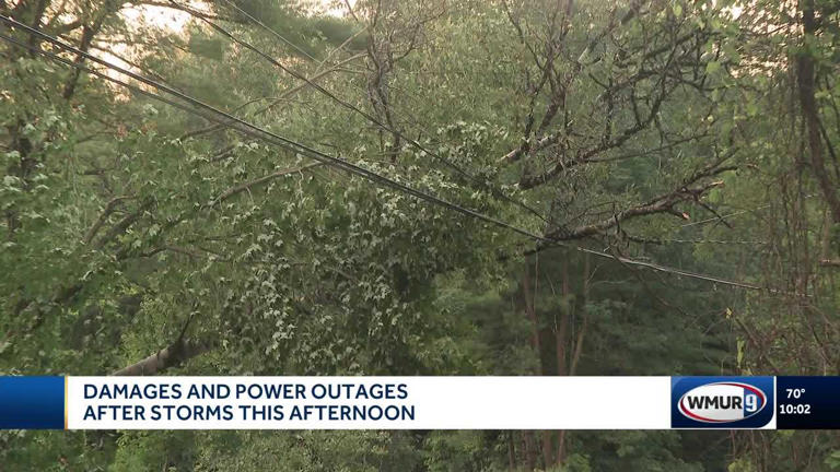 Sunday storms topple trees, knock out power for thousands in New Hampshire