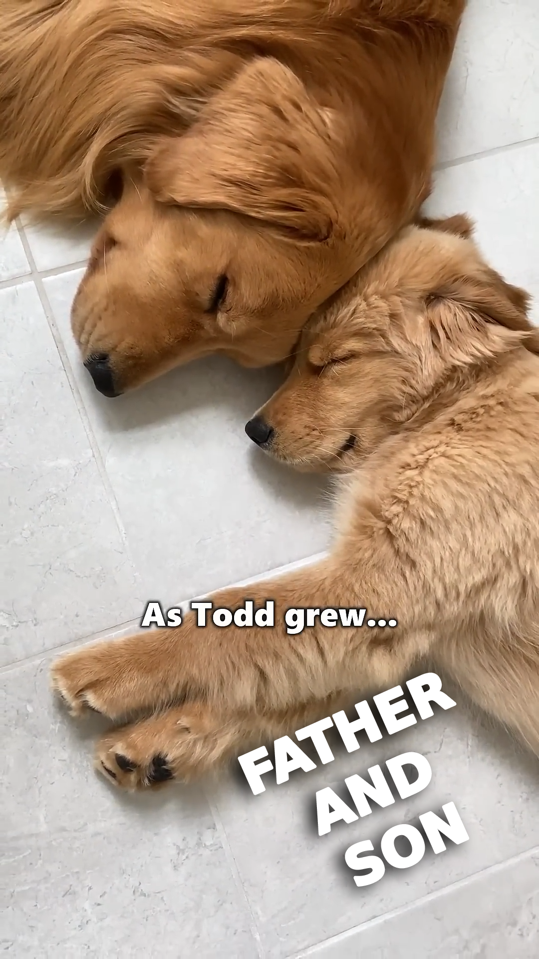 Tucker and Todd: Growing Up Together