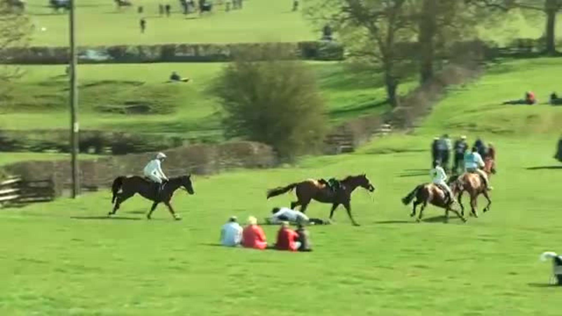Compilation of Horse Riding Fails