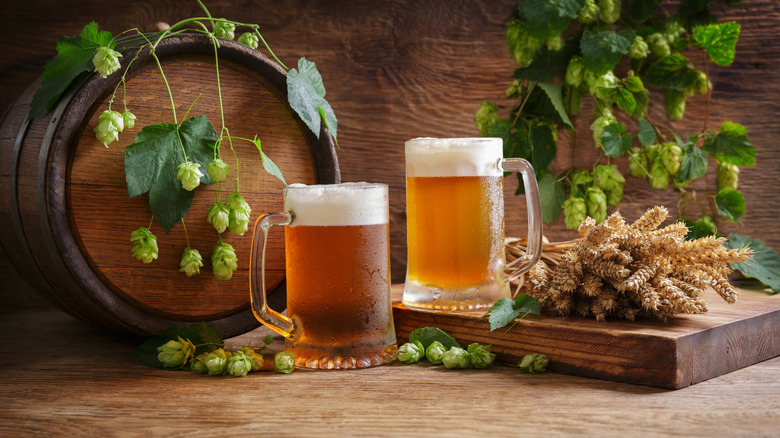 You've Probably Tasted Hops From This Washington Valley Without Knowing It