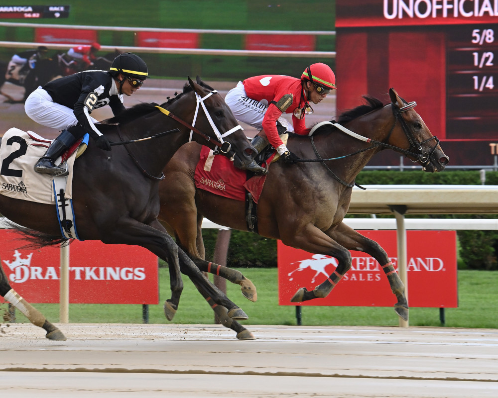 Halina’s Forte Seeks Return To Form In Dream Supreme Stakes