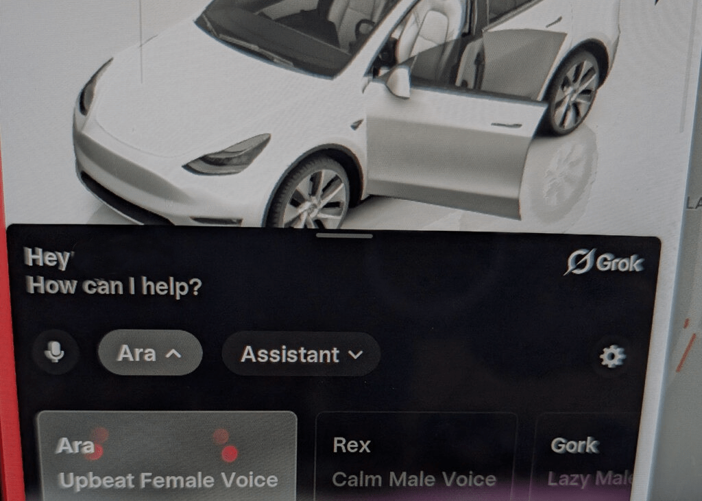 Grok AI in Tesla. What could possibly go wrong?