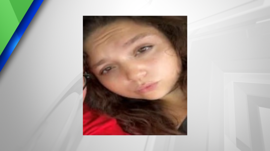 Search underway for missing London woman last seen in pickup truck ...