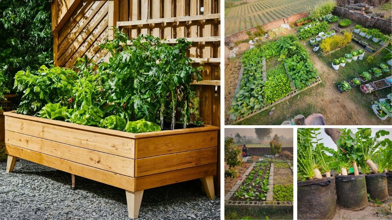 10 High-Yield Vegetables That Will Transform Your Tiny Garden into a ...
